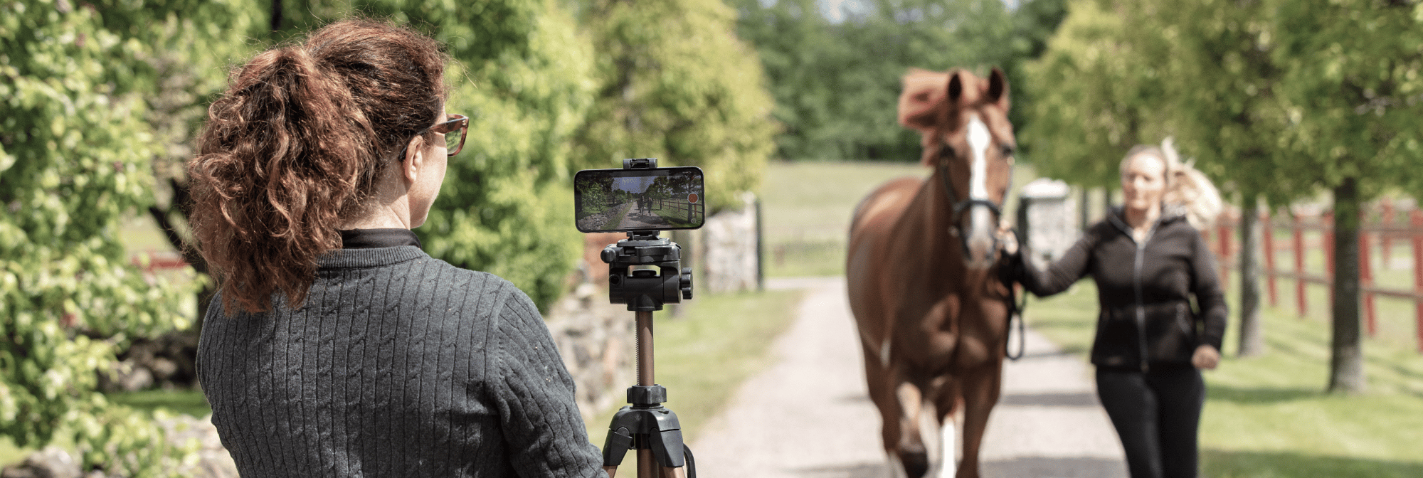 Sleip – Scientifically validated equine gait analysis app